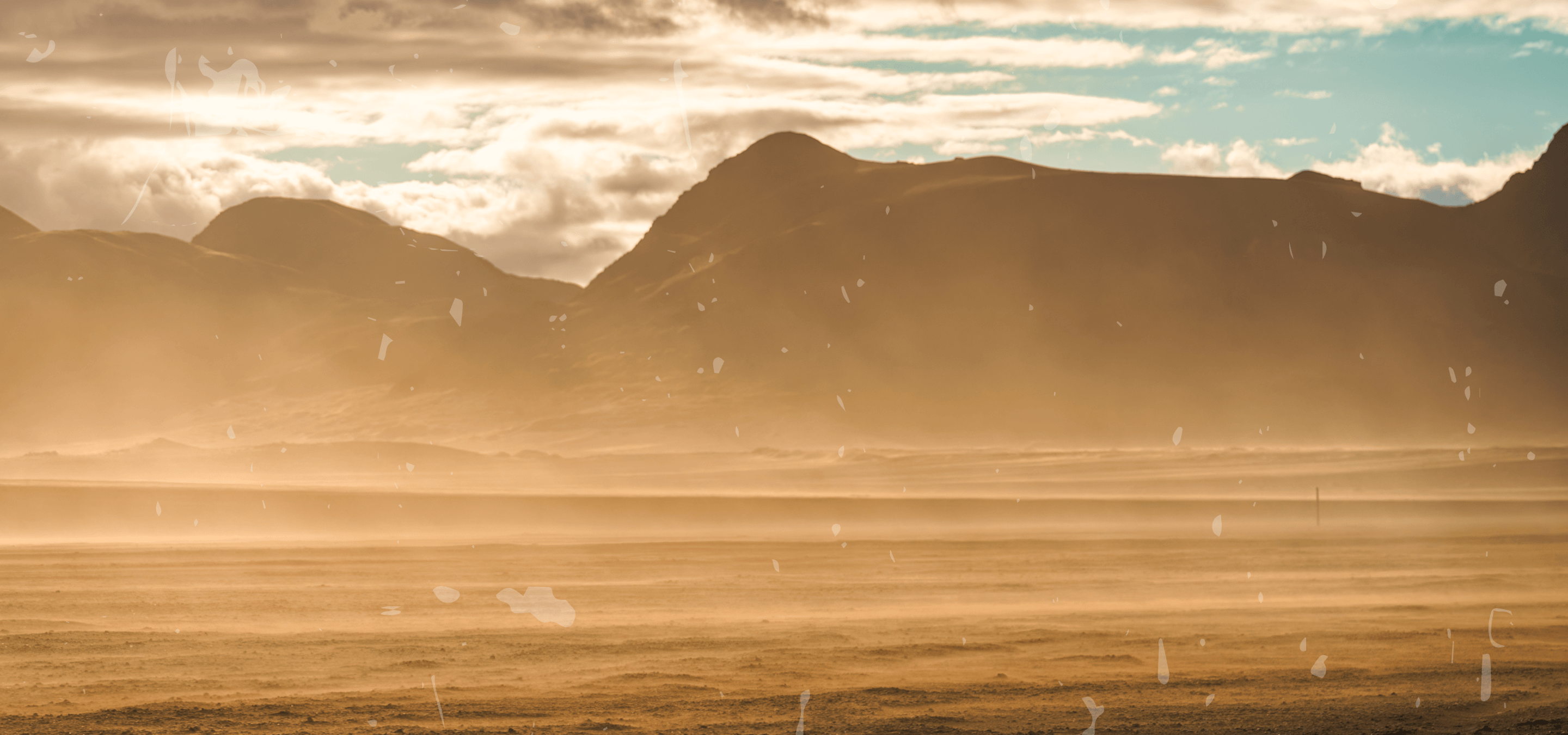Fallout Energy – DrinkAriZona